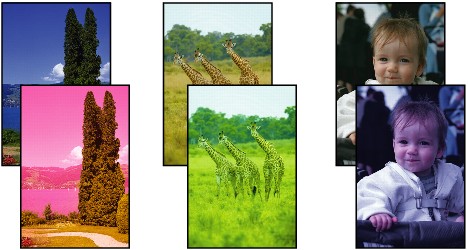 Canon : PIXMA Manuals : G3000 series : Paper Is Blank/Printing Is ...