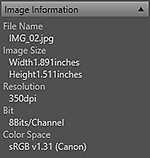 Canon : Inkjet Manuals : Print Studio Pro : Information Area