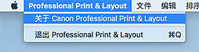 Canon : 手册 : 检查版本 - Professional Print & Layout